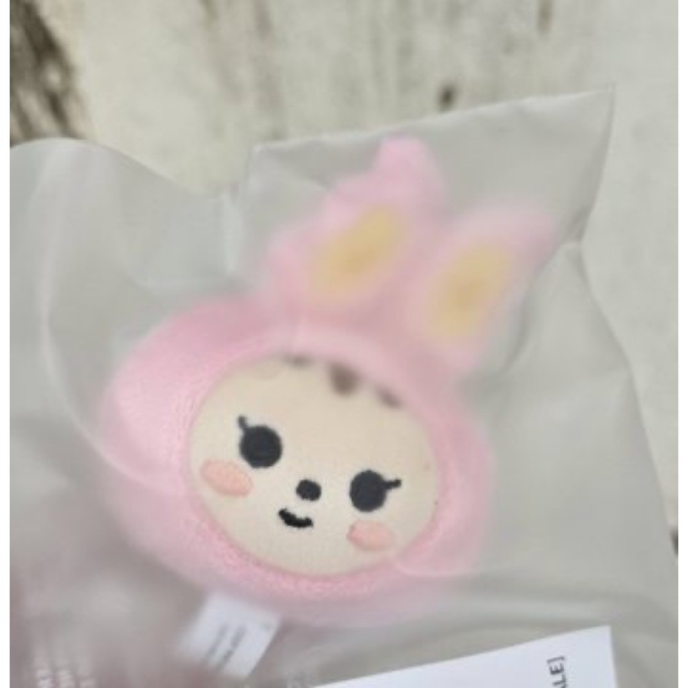 Kpop SVT Seventeen Plush Keychain Bag Charm Pendant JEONGHAN JOSHUA JUN ...