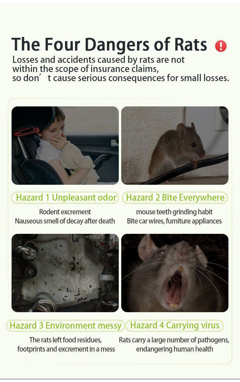 No rats in car for 365 Days SB Rat repellent spray 500ML Rat reppelent ...