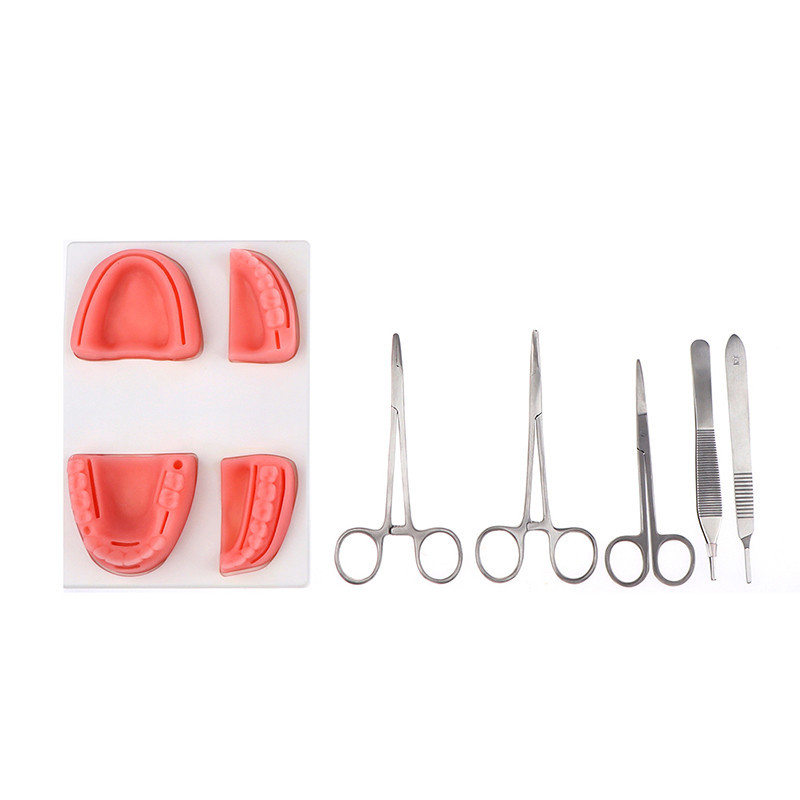 Silicone Artificial Skin Oral Common Types of Dental Wounds Suture ...