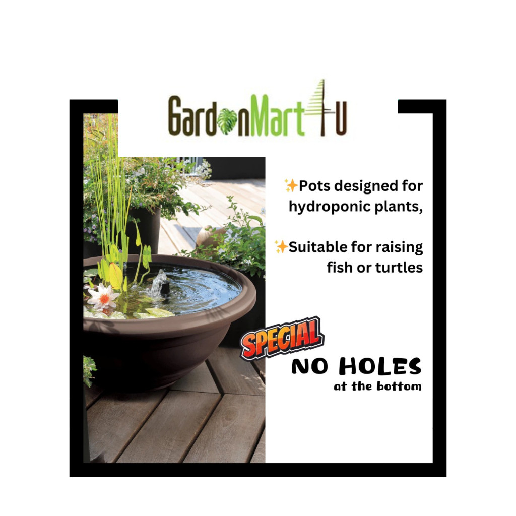 GM4U-Baba Water Lily shallow pot without hole bronze color Pasu Teratai Flower Pot Lotus Pasu ...