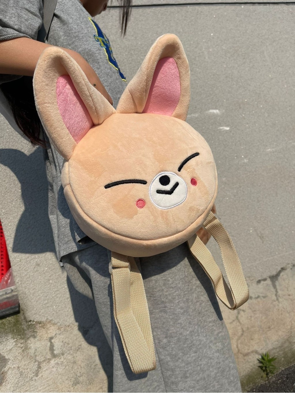 Kpop Idol Stray Kids Mini Backpack 2024 Skz Toy World Cute Stay Gift ...