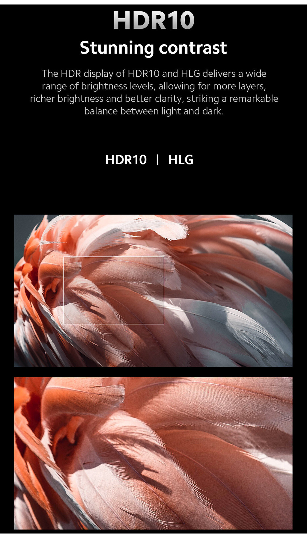 Xiaomi L43MASSEA TV 2025 Series 43 Inch 4K HDR display Metal finish ...