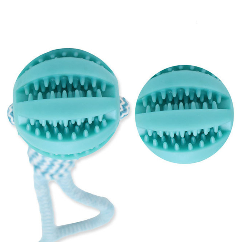 Pet Rubber Leaking Balls Toy Dog Treat Ball with Rope Puppy Chewing ...