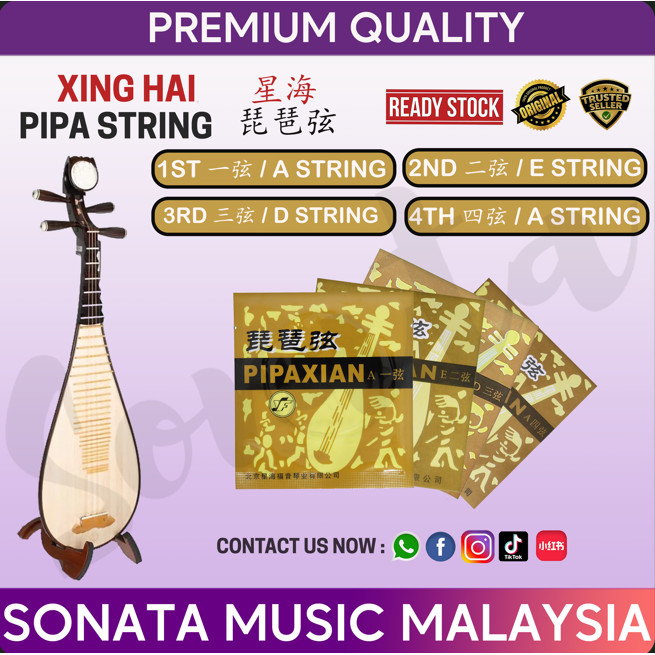 XING HAI PIPA STRING 1ST A STRING / 2ND E STRING / 3RD D STRING / 4TH A ...