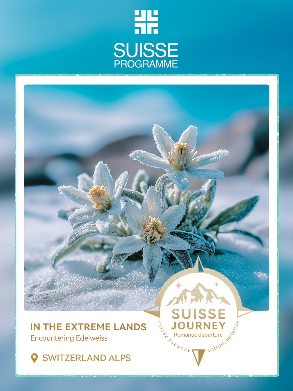 Suisse Programme Hydro Recovery Cream 3ml (Sample) | Shopee Malaysia