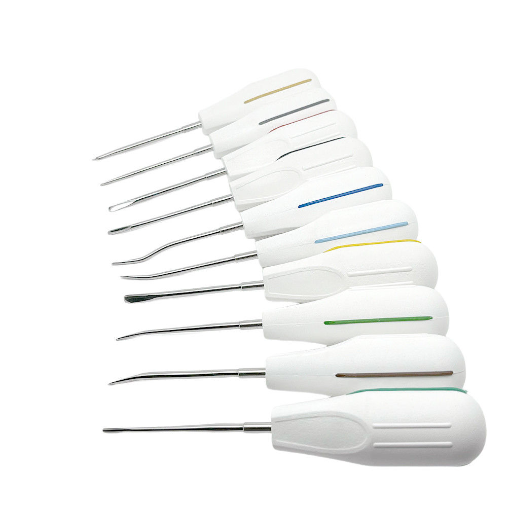 10Pcs/Set Dental Luxating Lift Curved Root Elevator Kit Dentistry ...