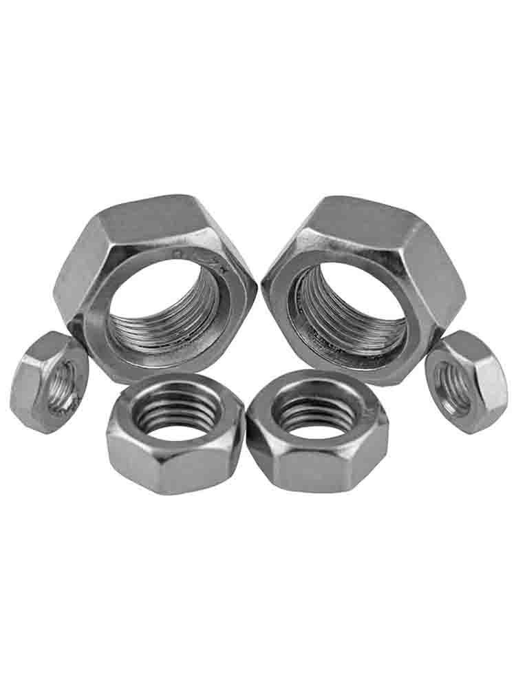 304 Stainless Steel Hex Nut M1-M30 | Shopee Malaysia