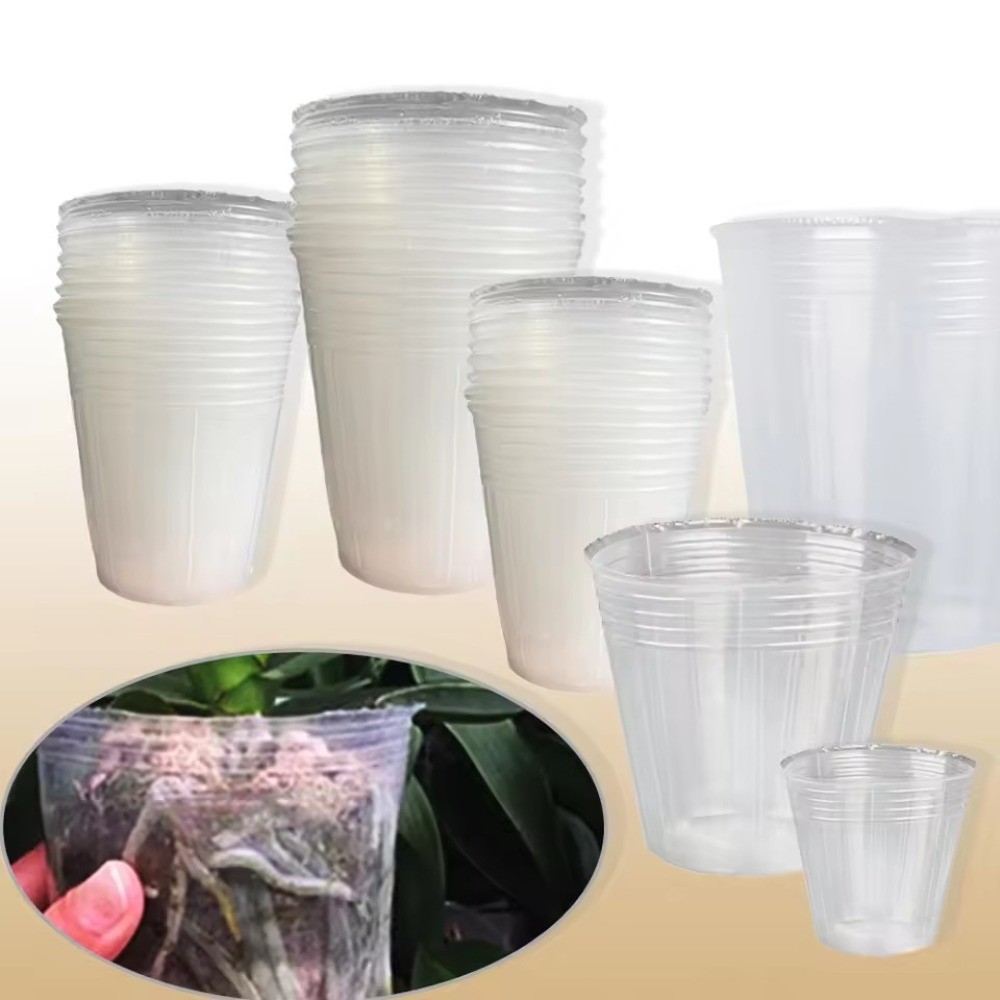 Transparent Clear Plastic Seedling Containers - Innovative Seed ...