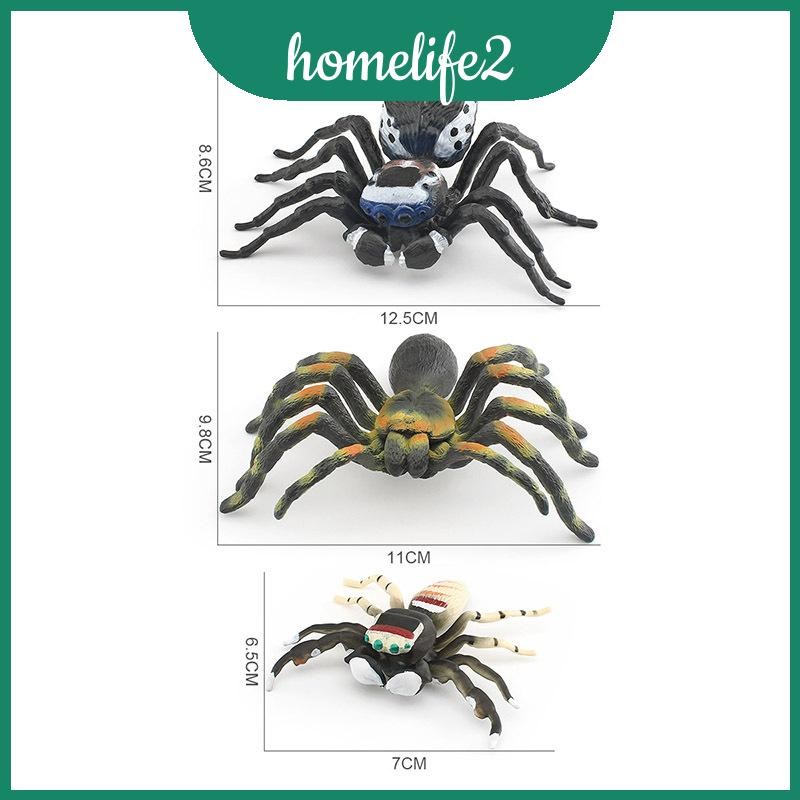 Realistic Spider Plastic Model Collection Featuring Colorful Peacock ...