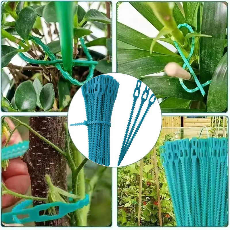Garden Tree Climbing Support Vine Stem Clamps - Adjustable Plastic Self ...