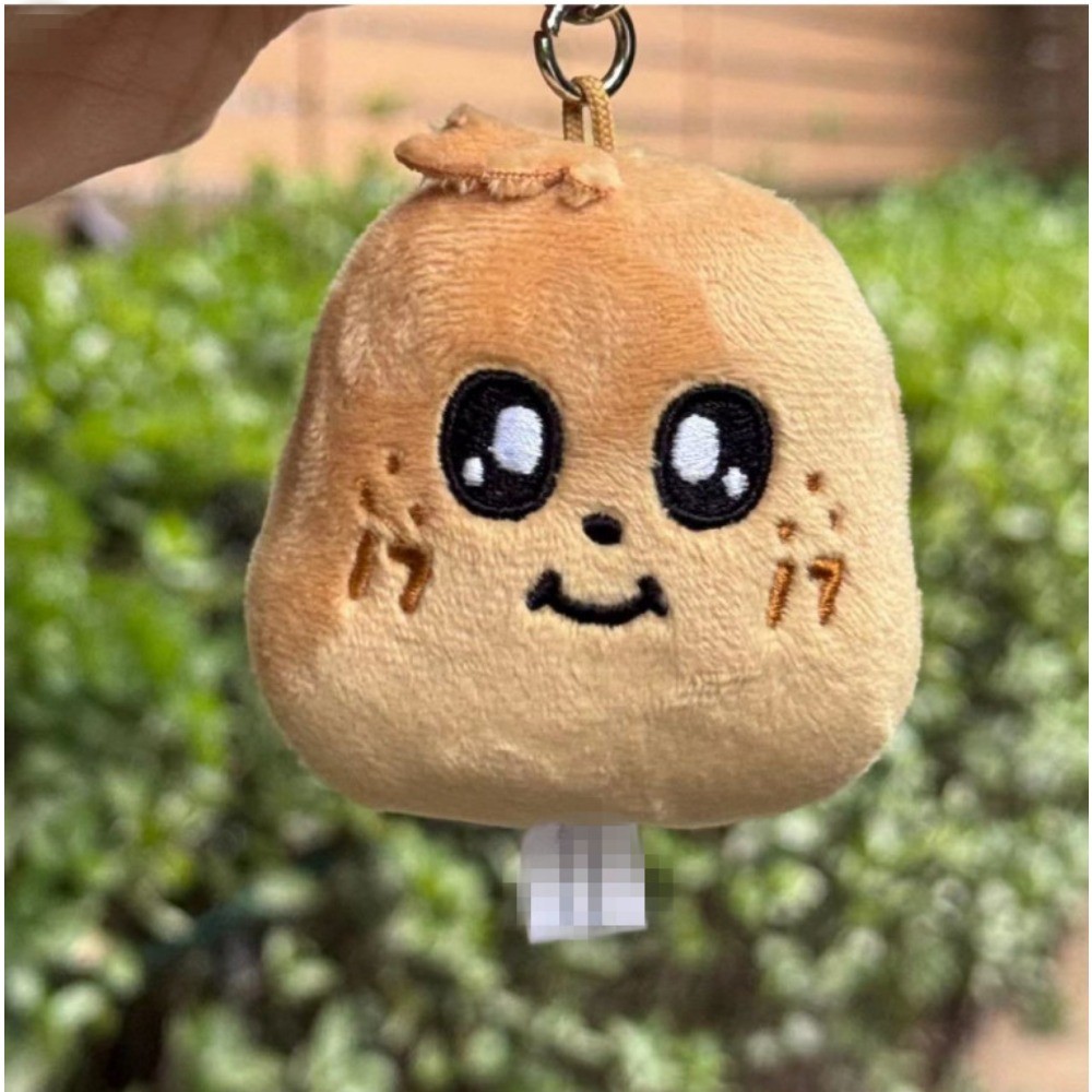 Kpop SVT Seventeen Plush Keychain Bag Charm Pendant JEONGHAN JOSHUA JUN ...