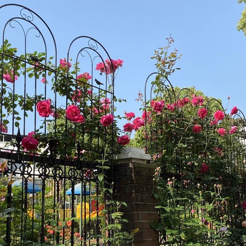 Vine Climbing Frame, Garden Decorative Fence, Outdoor Wrought Iron ...