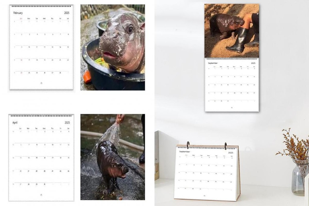 [EY] Cute Animal Calendar Cute Animal Illustrations Calendar 2025 Pygmy ...