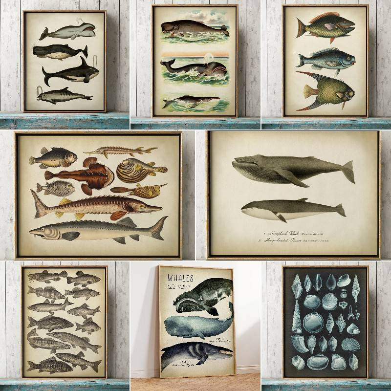 FISH PRINT, Fishes Chart, Fish Poster, Fish Illustration, Vintage ...