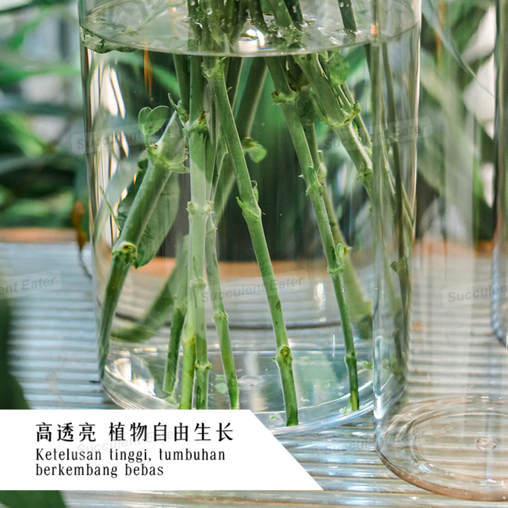 Vase Glass Cylinder Clear Transparent Pasu Bunga Hiasan Kaca Aquarium ...