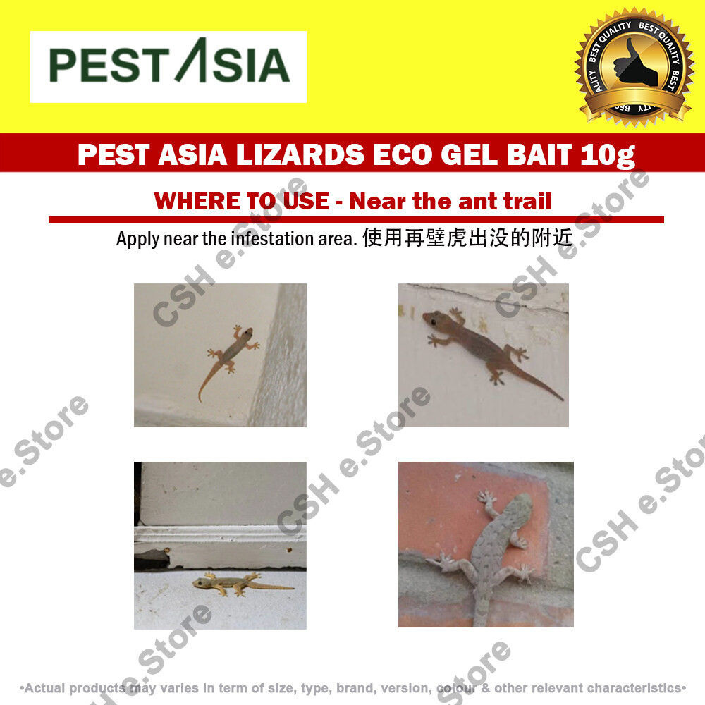 PEST ASIA Lizard Eco Gel Bait 10g | Shopee Malaysia