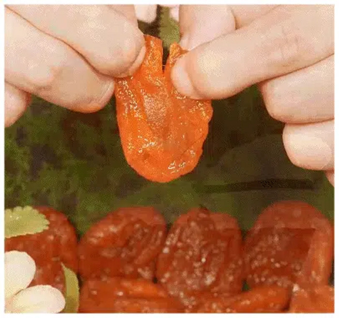 [24H Shipping]Dried Red Apricots Pitted Red Apricots Dried Fruit Snacks ...