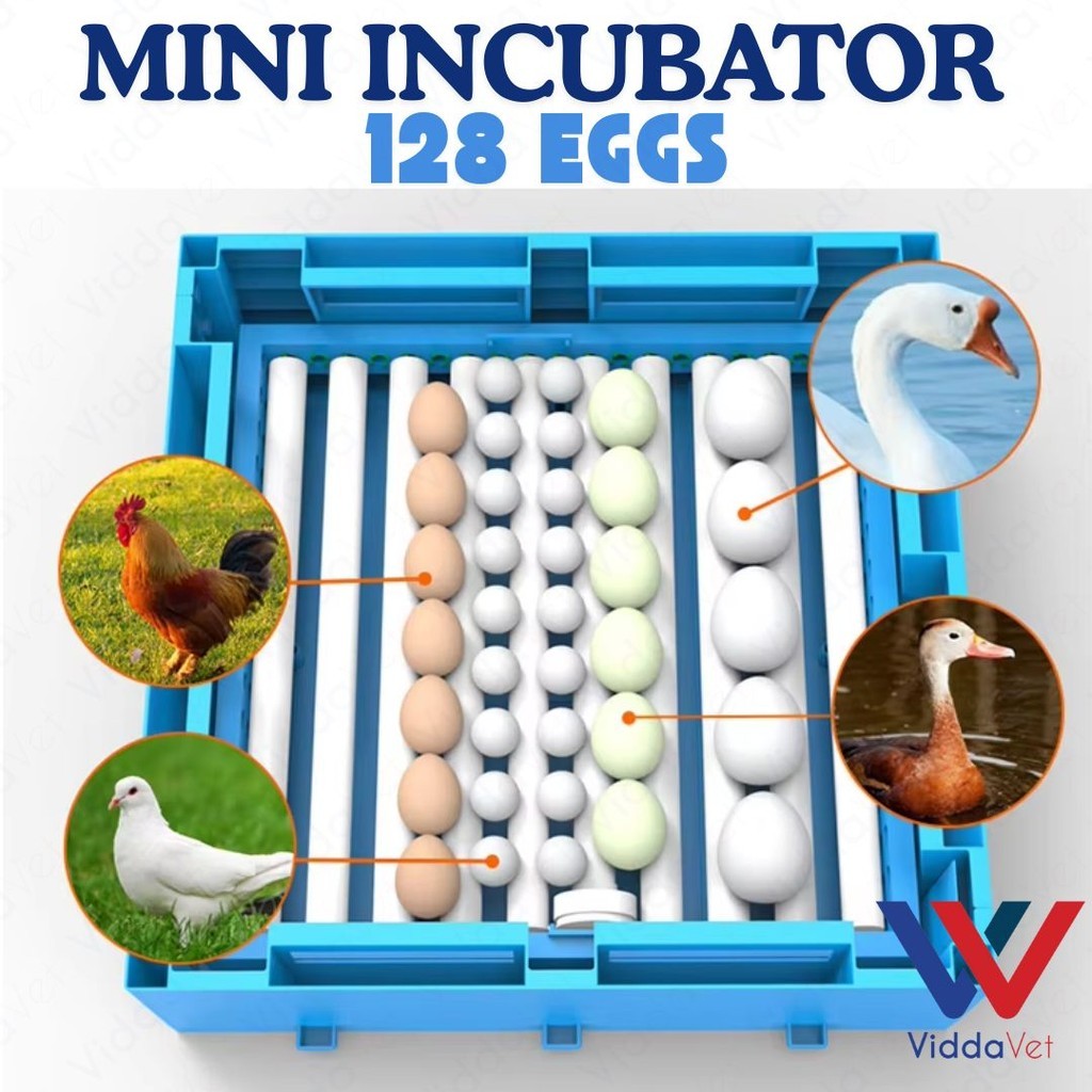 128 Eggs Mini Incubator for Poultry Quiet Fan and Humidity Regulation ...