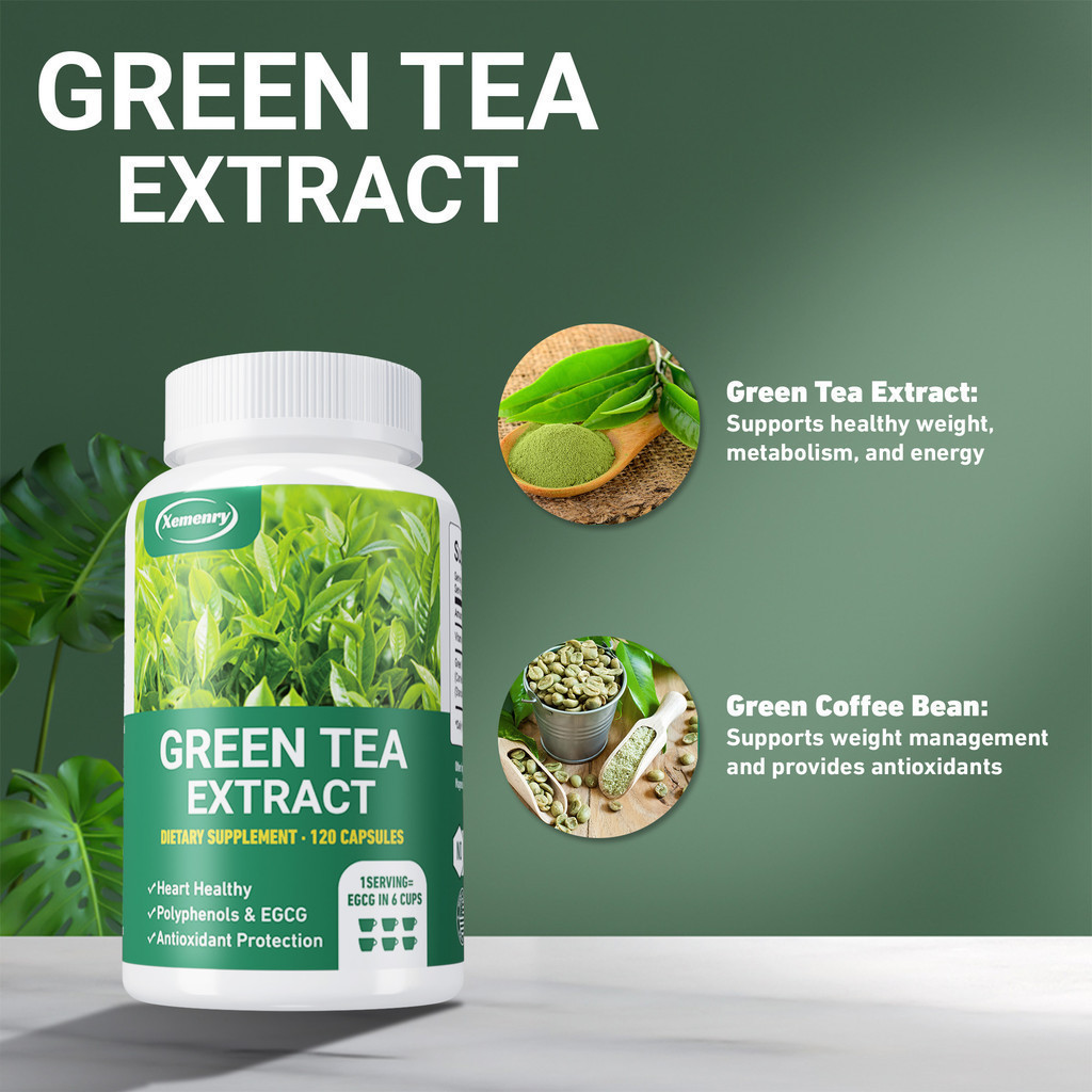 Green Tea Extract 50% with EGCG - 30/60/120 Capsules (Non-GMO) - Leaf ...