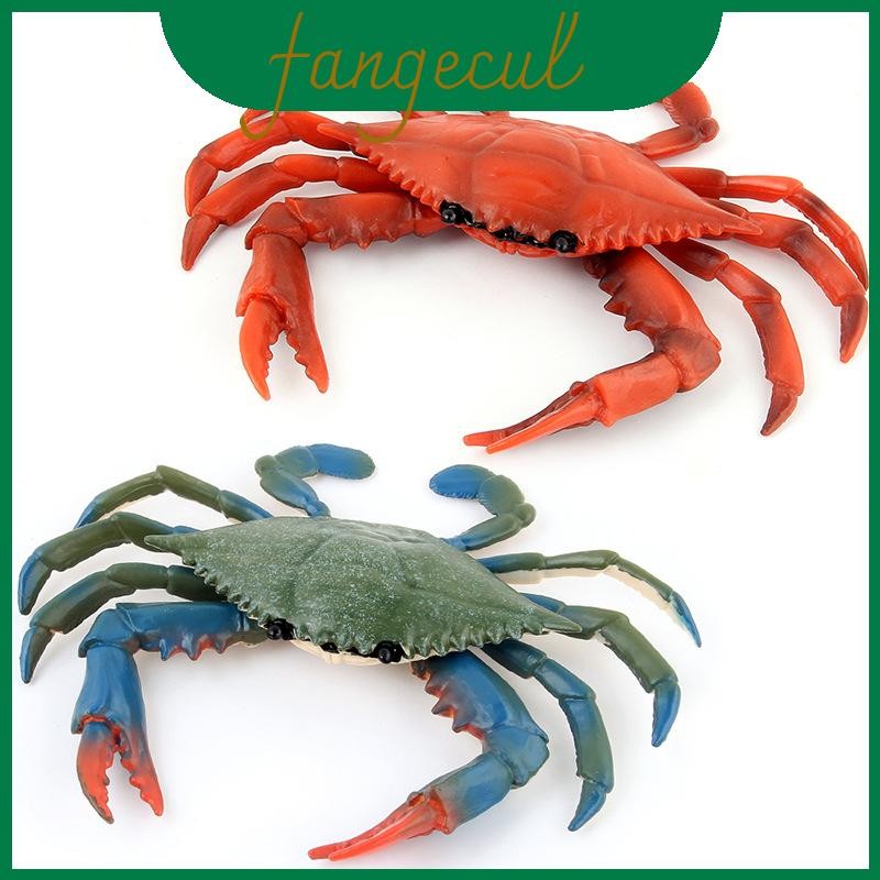 Pvc Realistic Underwater Sea Creature Model Toys For Kids Educational ...