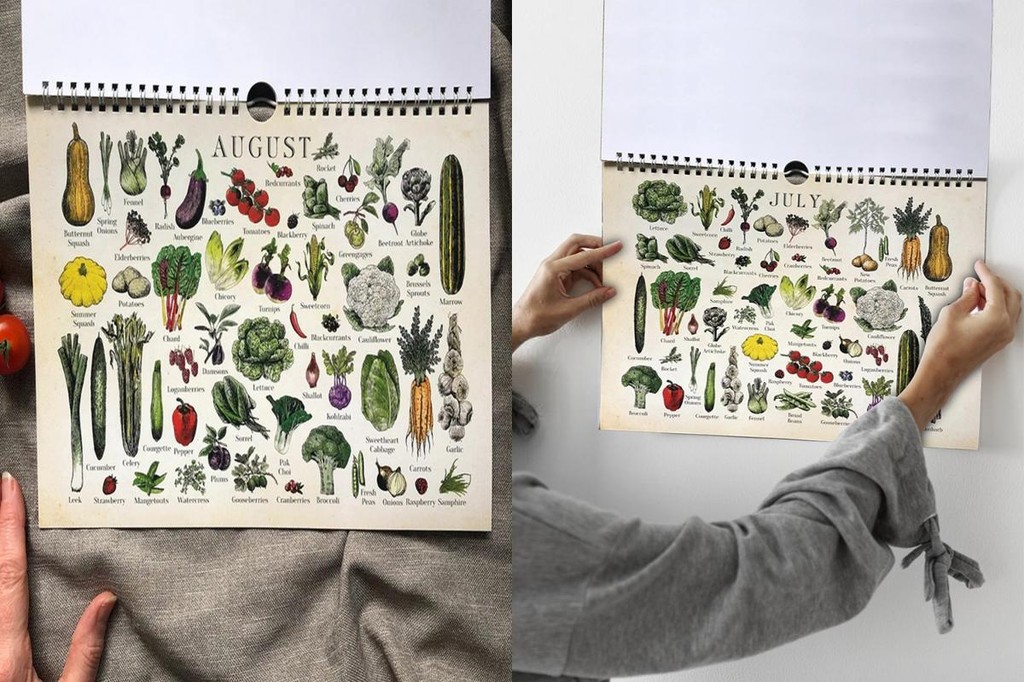 {Newcat} Seasonal Produce Wall Calendar Culinary Art Calendar 2025 ...