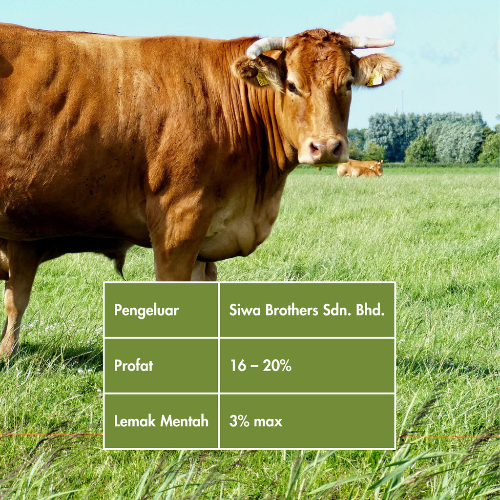 [15KG] [REPACK] PKP JOHOR | MAKANAN RUMINAN | DEDAK LEMBU | SIWA ...