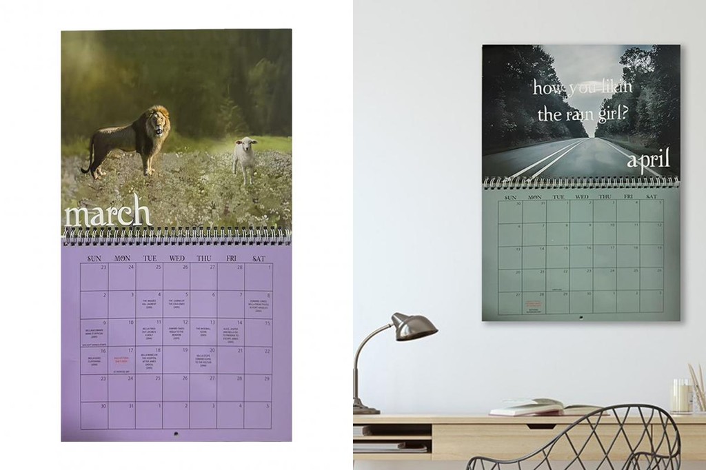 Sp Joyful Environment Calendar Wall Calendar with Cinematic Feel 2025 ...