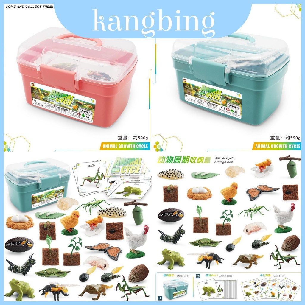 Pvc Realistic Insect Model Set Featuring Butterflies Bees And Frogs ...