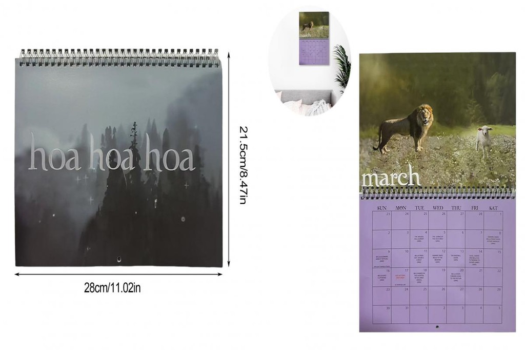 Sa Fun Calendar for Children and Adults Wall Calendar with Cinematic ...