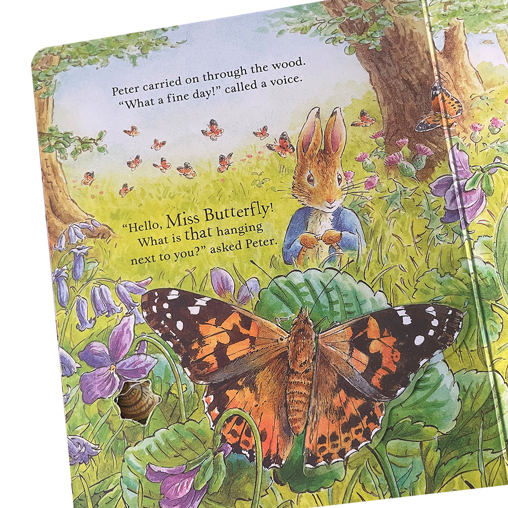 Peter Rabbit Forest Homes A Peep-Inside Tale Educational English ...