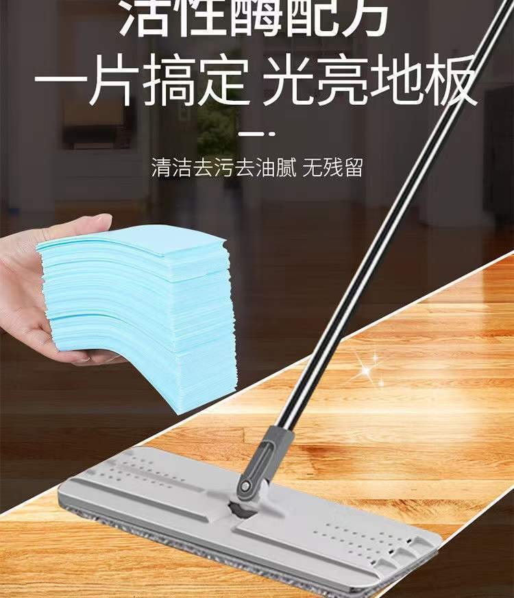 【Ship In 24h】地板清潔片 殺菌除異味 瓷磚清潔劑 拖地神器 Floor Care Cleaning Tablets ...