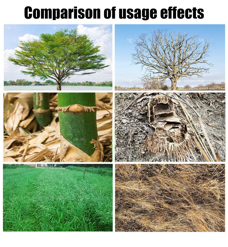 2 Drops kills tree roots SB Tree killer200ML Racun pokok kayu besar ...