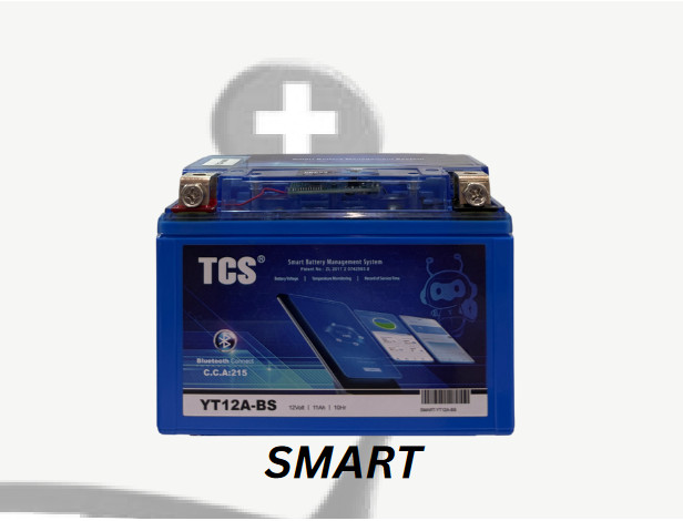 SC64 TCS SMART BATTERY ( YT12A-BS / YT12A ) Z1000RR / SYM T2 / GXS ...