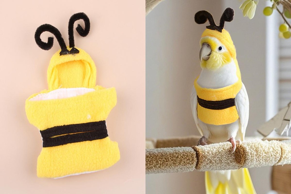 ongong Bird Costume for Dressing Up Bird Clothes Costume Colorful Bee ...