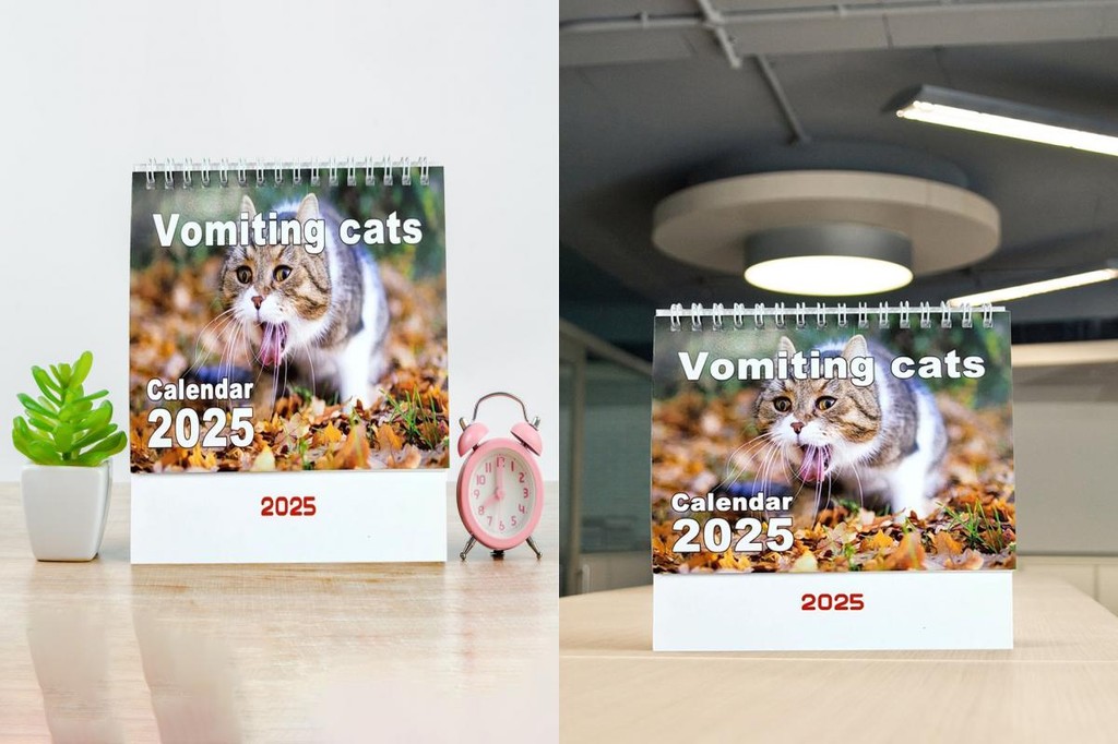 Unique Cat-themed Calendar Cute Desktop Flip Calendar 2025 Vomiting Cat ...