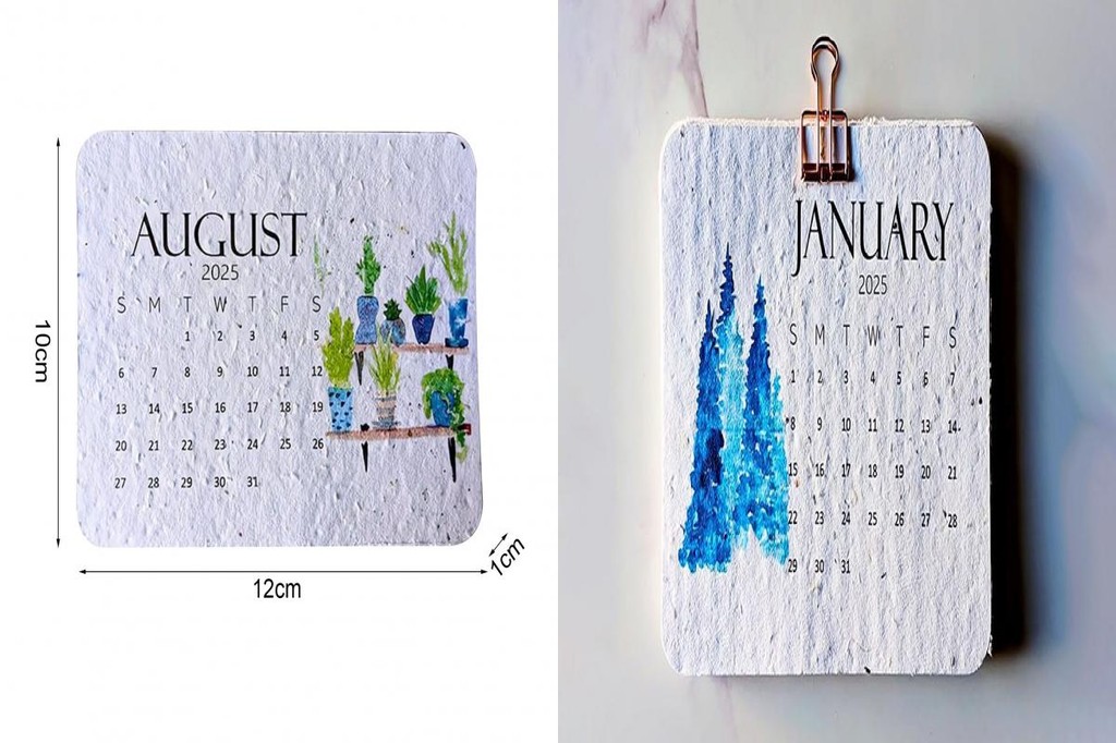 [richu] Sustainable Calendar Plant Embedded Calendar 2025 Plant ...