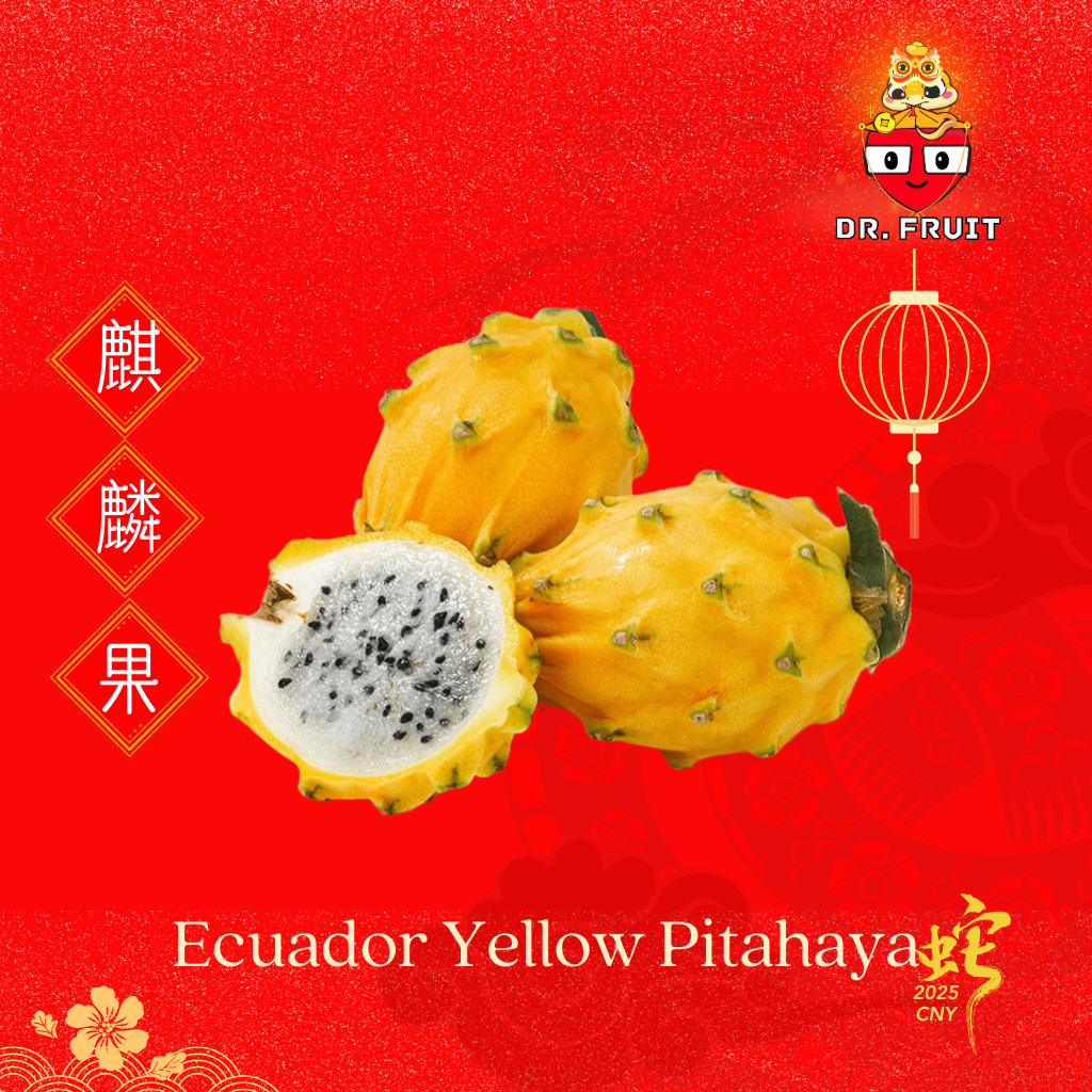 *2025* Ecuador Golden Dragon Fruit/ Pitahaya 麒麟果 - 1pcs | 黄金火龙果/ 龙珠果 ...