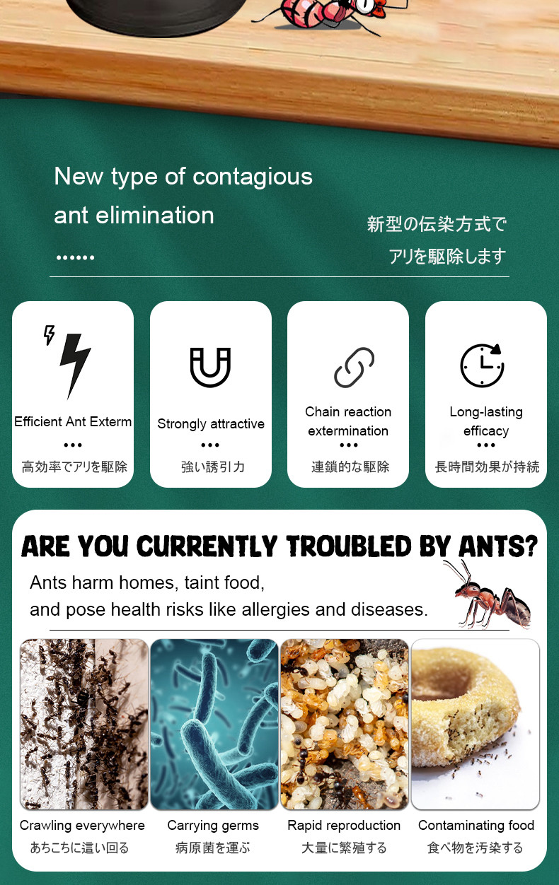【20 years without ants】Ant killer 8pcs/box Ant poison Ubat semut ...