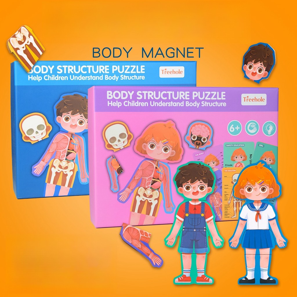 Puzzle of Human Cognitive Body Structure for Boys and Girls Cognitive ...