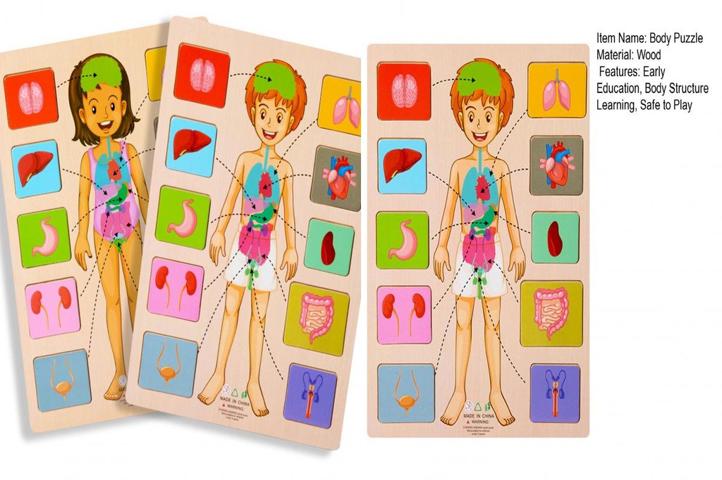 ALINA Wooden Body Puzzle Anatomy Learning Puzzle Wooden Body Puzzle ...