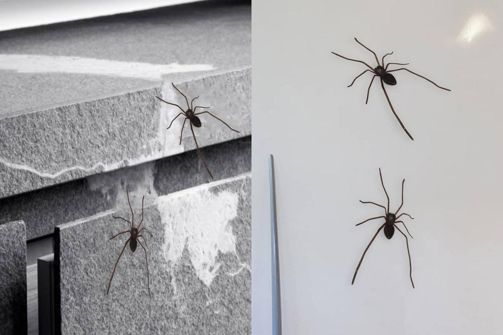 yakhsu| Spider Magnet Spider Refrigerator Magnet Realistic Giant Spider ...