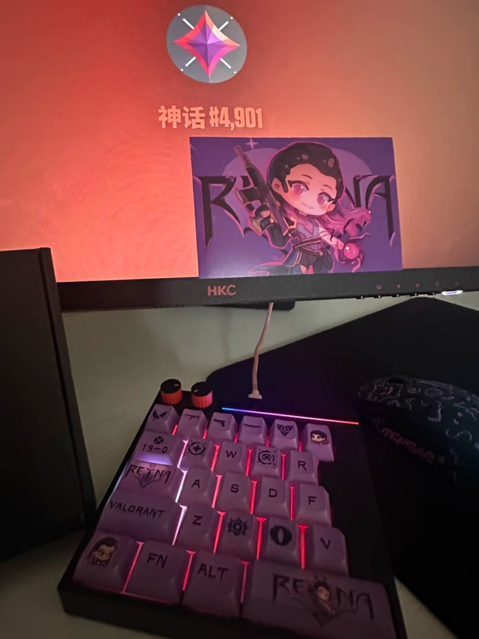 Reyna Keycap Cherry/OEM Profile 11/14 Keys Five-sided Sublimation Cute ...