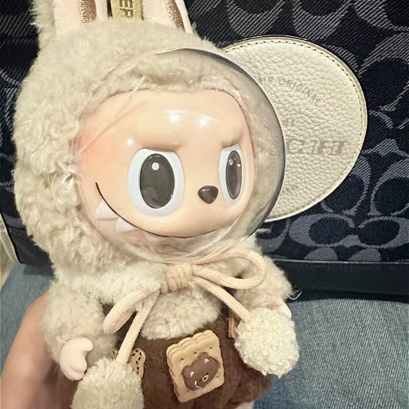 Cartoon Labubu V1 V2 Cover Pumpkin Labubu Case Acrylic High Transparent ...