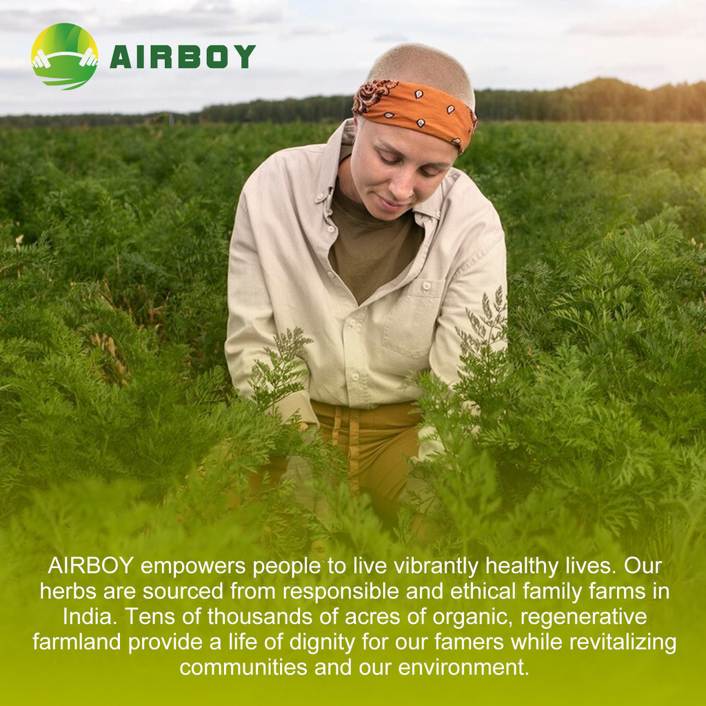 Airboy (Amalaki) Capsules - Organic Emblica - Natural Source of Vitamin ...