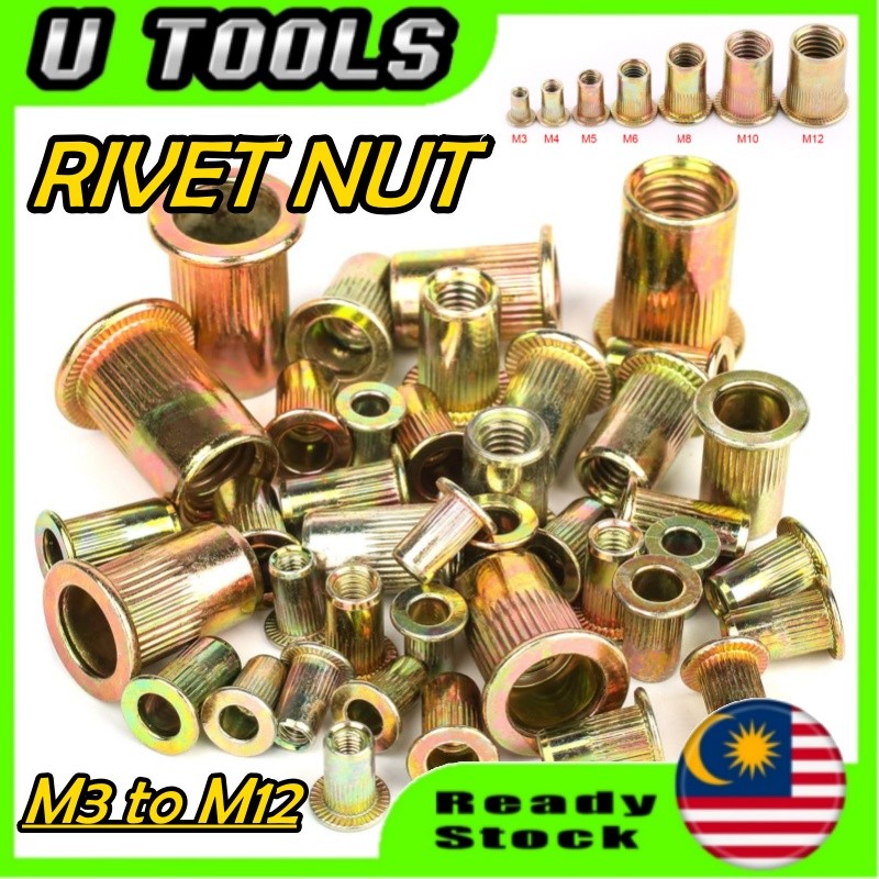 Metric Rivet Nut Kit Carbon Steel Flat Head Threaded Insert Nut Assorted in M3 M4 M5 M6 M8 M10 ...