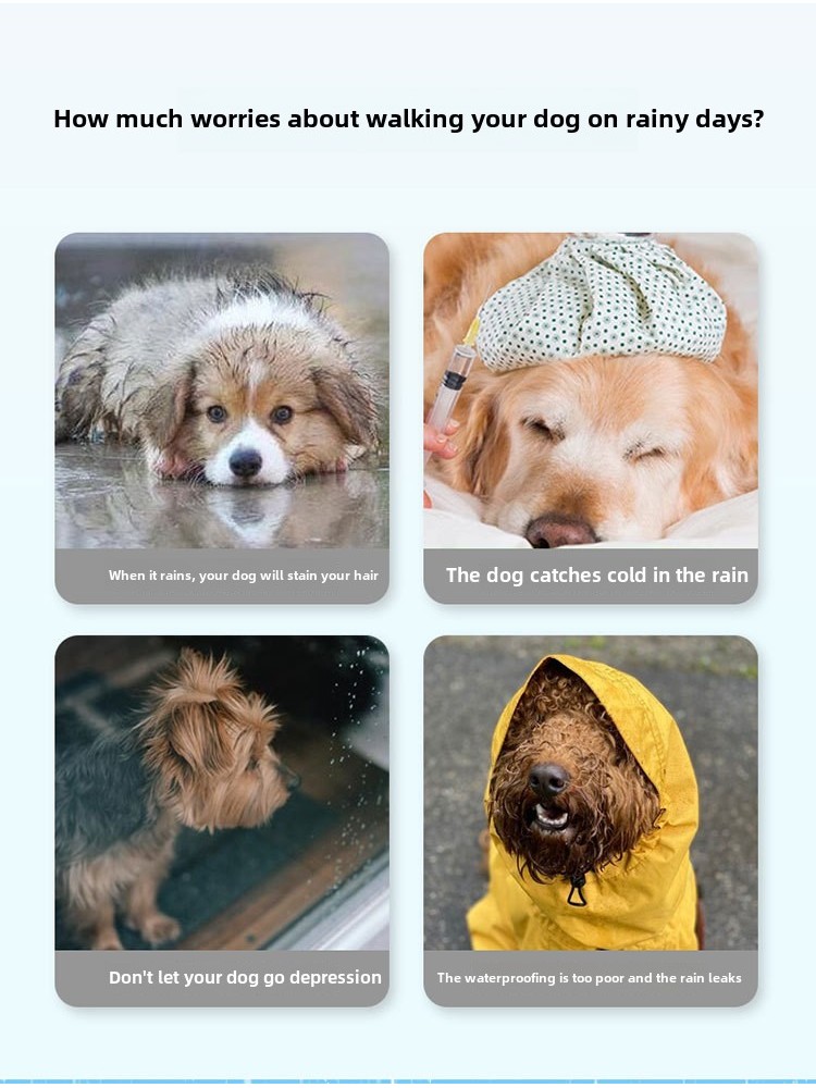 Cute little bear dog raincoat with feet pulling All inclusive teddy ...