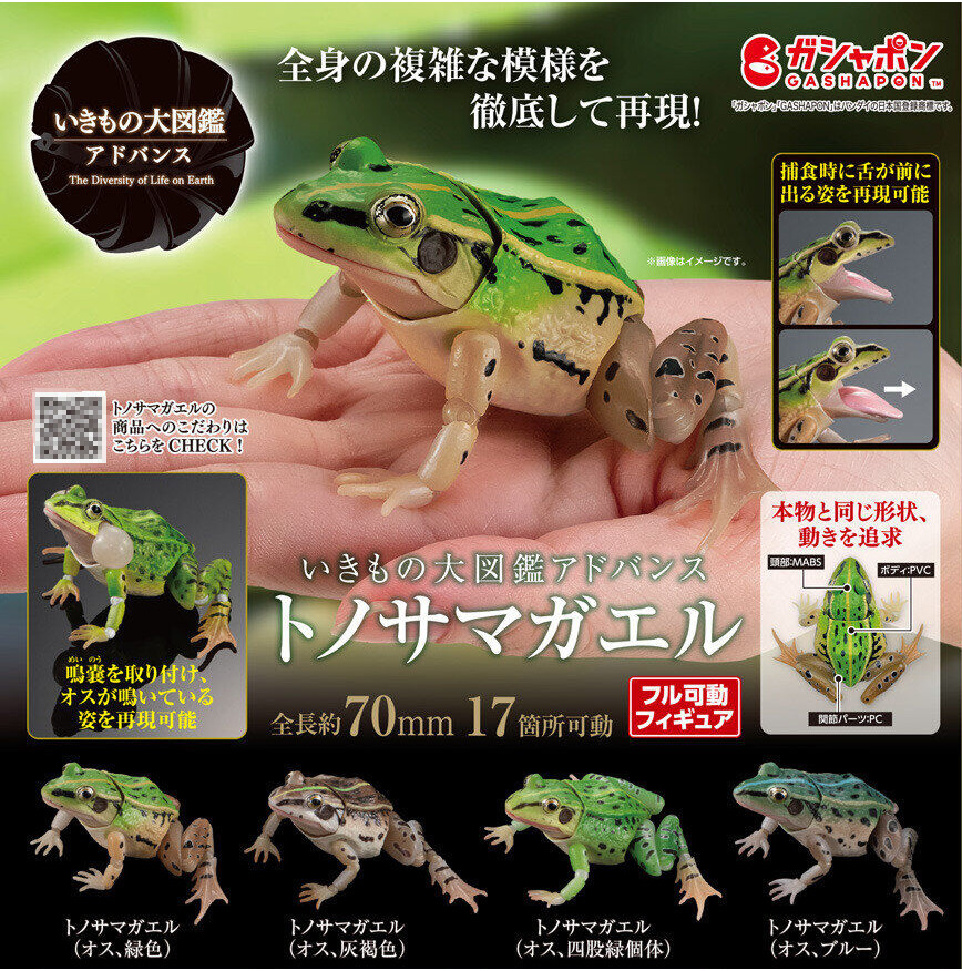 Genuine Bandai Biological Big Illustrated Book Dark Spot Side Fold Frog ...