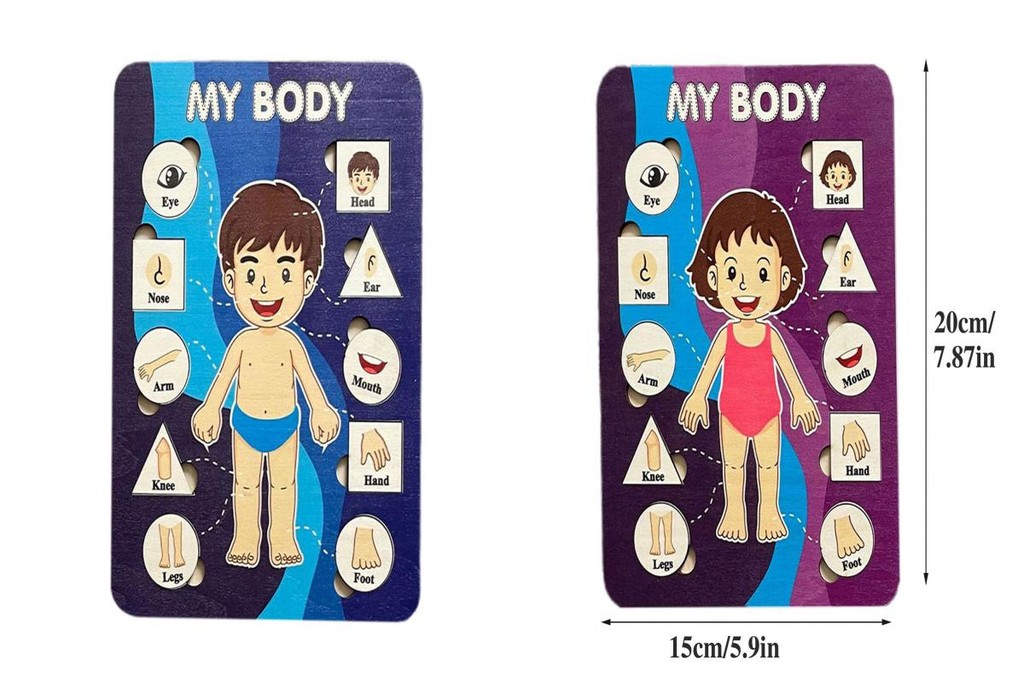 Hands-on Anatomy Puzzle Safe and Durable Body Puzzle for Children Body ...