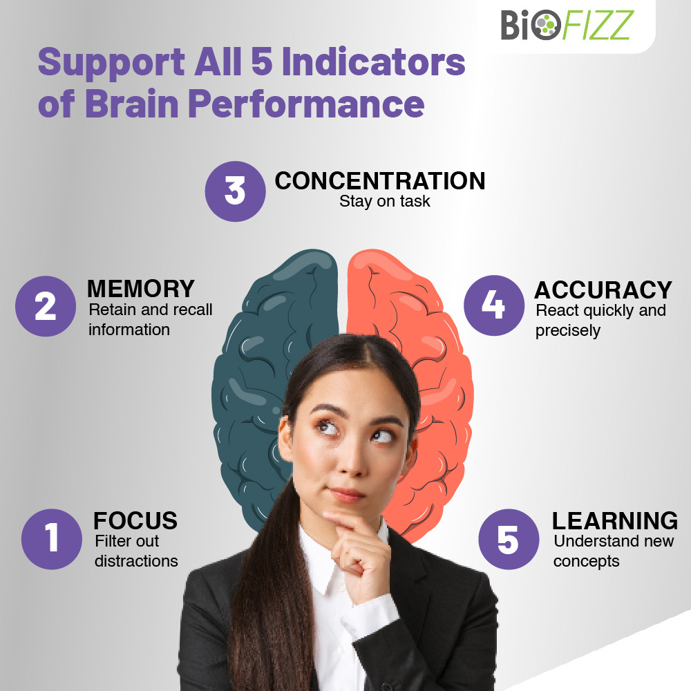 BIOFIZZ Nutrifit 365 Silver (400g) Improves Memory & Focus, Brain ...