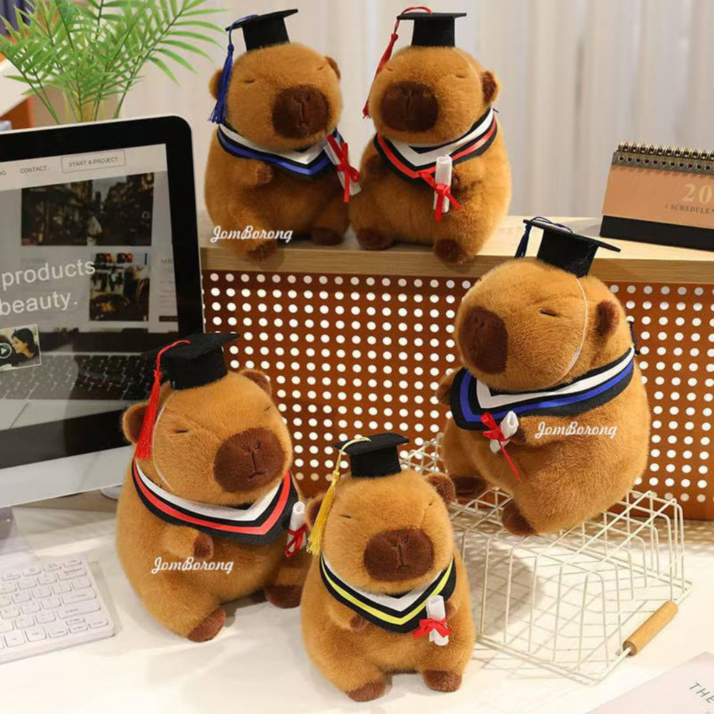 22CM CAPYBARA GRADUATION BEAR Plush Toy Cute Capibara Plushie Toy Anak ...